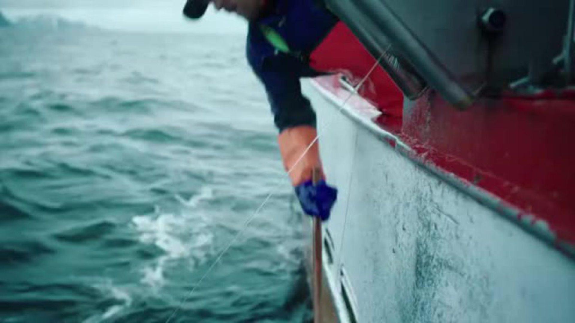 Hold i appen! — Kreativt Forum